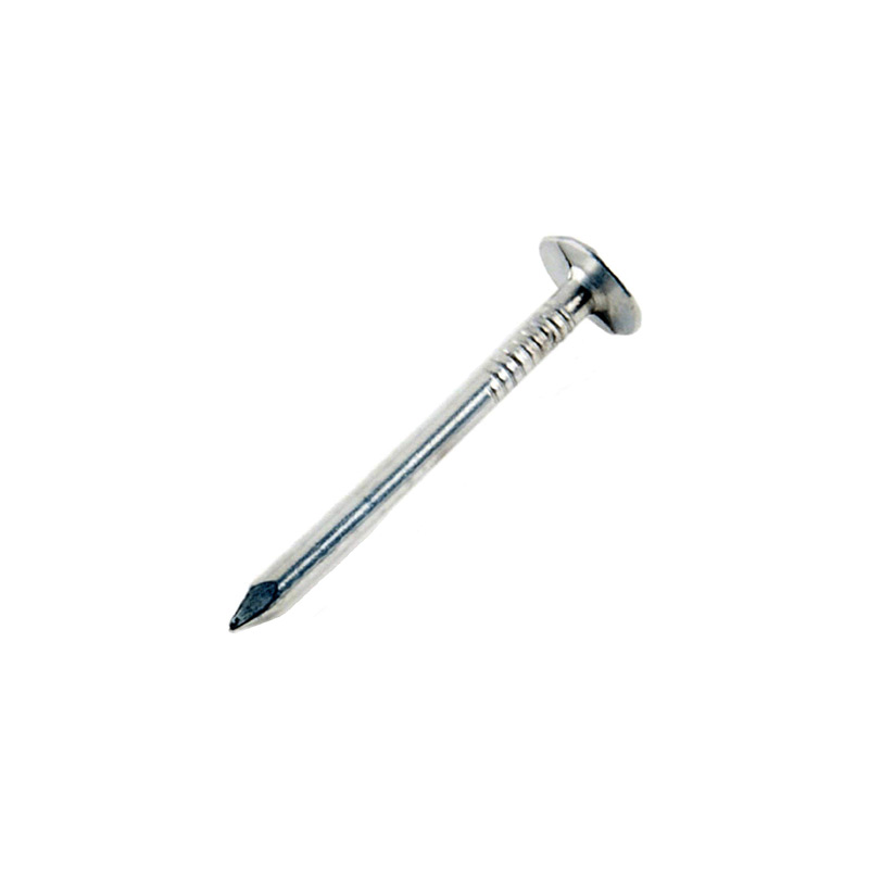 GI Roofing Nail 2.5 inch - 50 Pieces, Sinopro - Sourcing Industrial ...