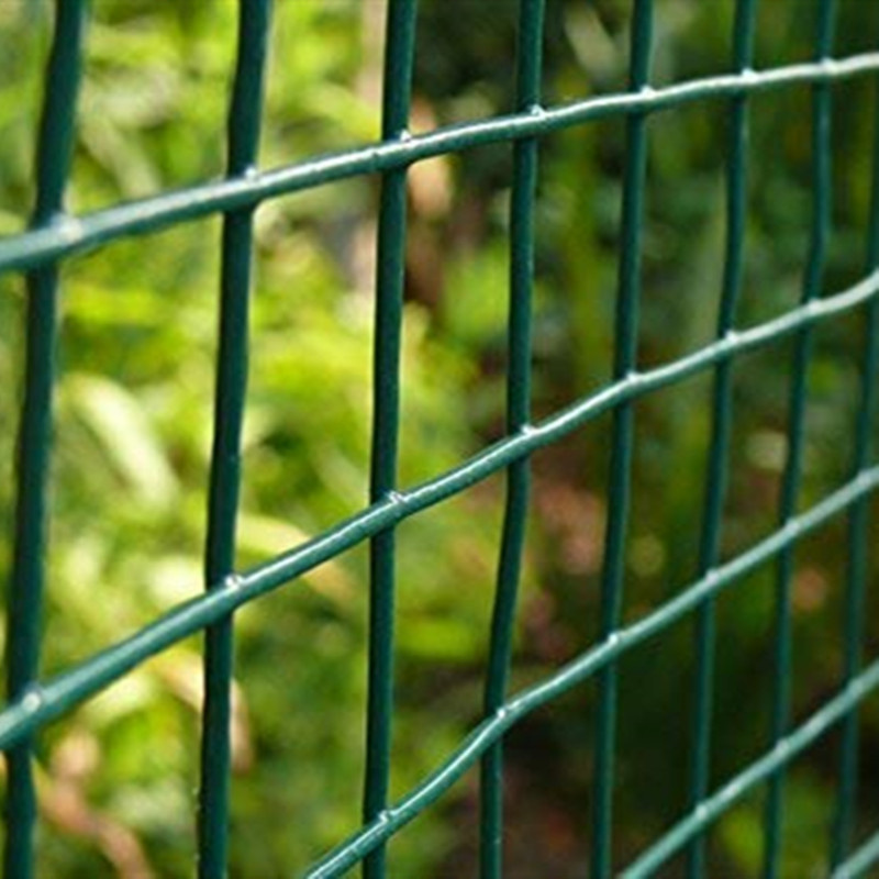 High Quality Green Color PVC Coated Welded Square Wire Mesh 1/2Inch X 1 ...