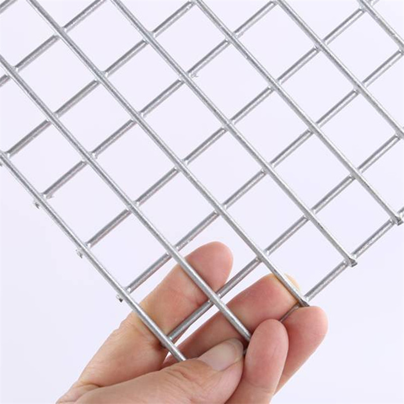 SS 304 Weld Mesh/Bird Cage Mesh/Rabbit Mesh/Roof Mesh for Agriculture 1 ...